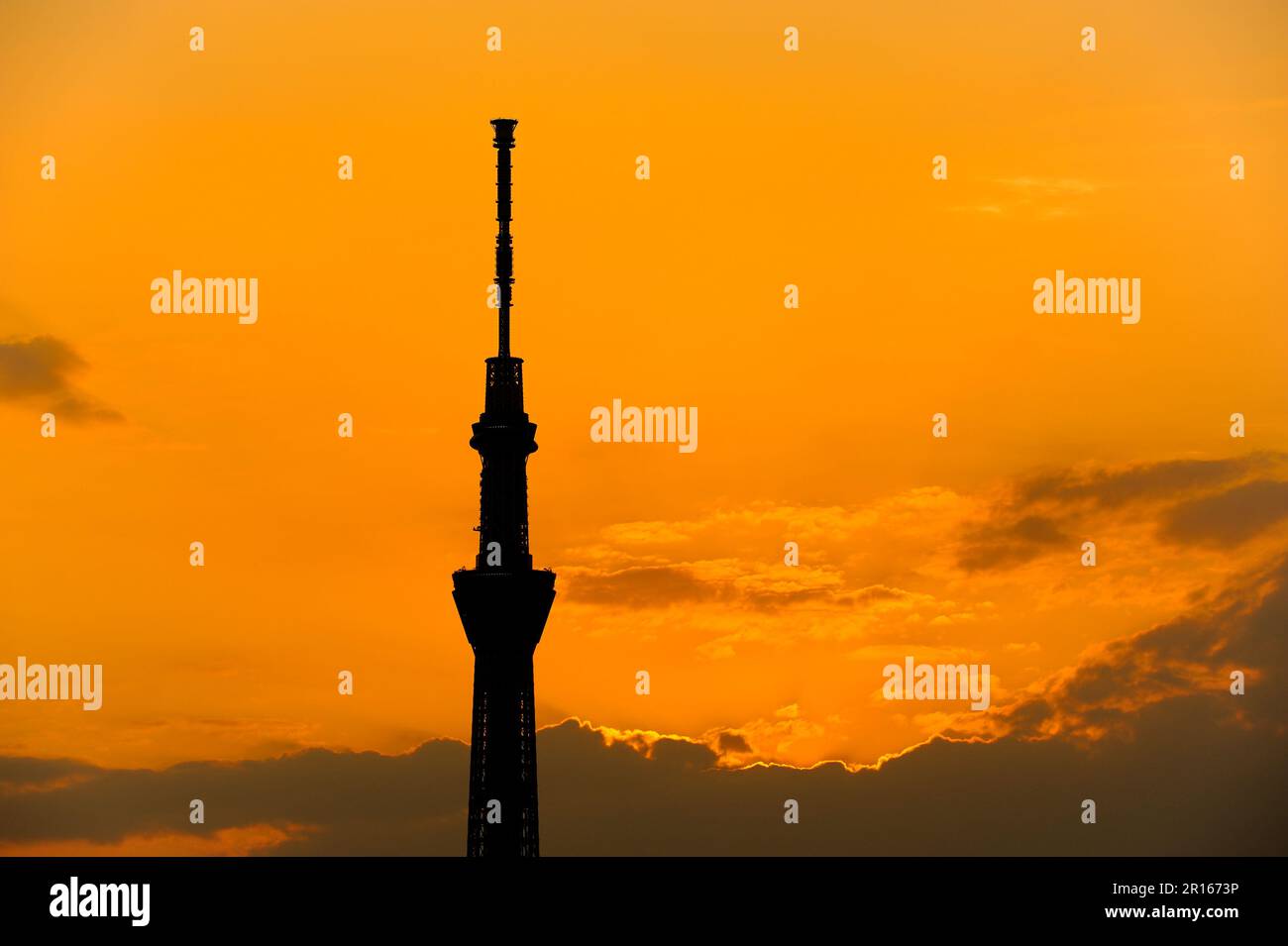 Tokyo Sky Tree at sunset Stock Photo - Alamy