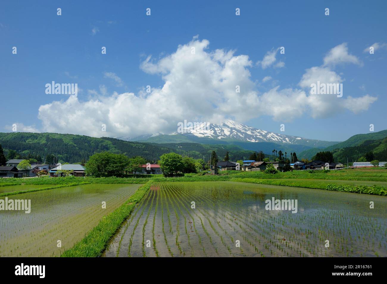 Mount Chokai and paddies Stock Photo - Alamy