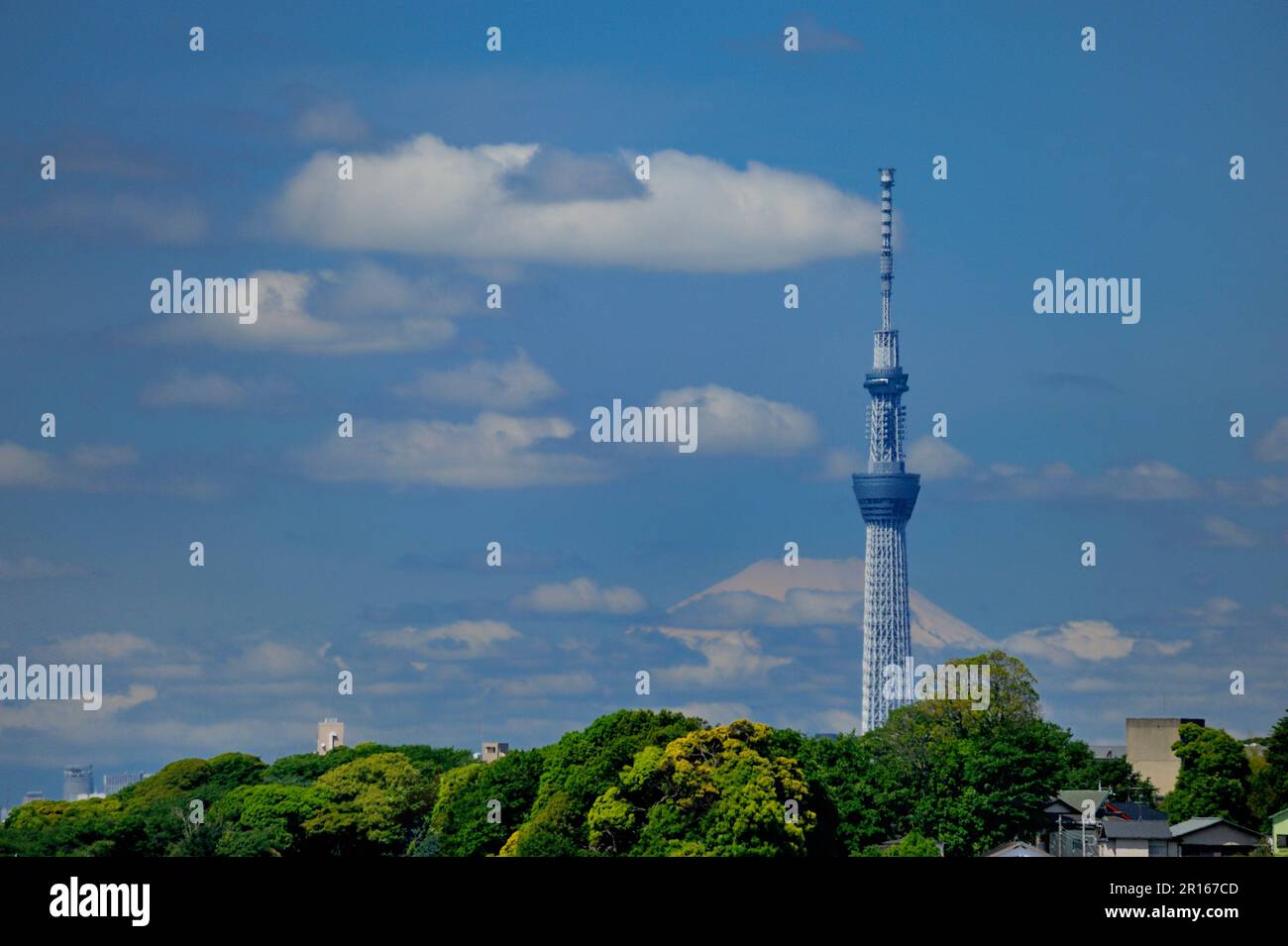 Tokyo sky tree and Mt Fuji Stock Photo - Alamy