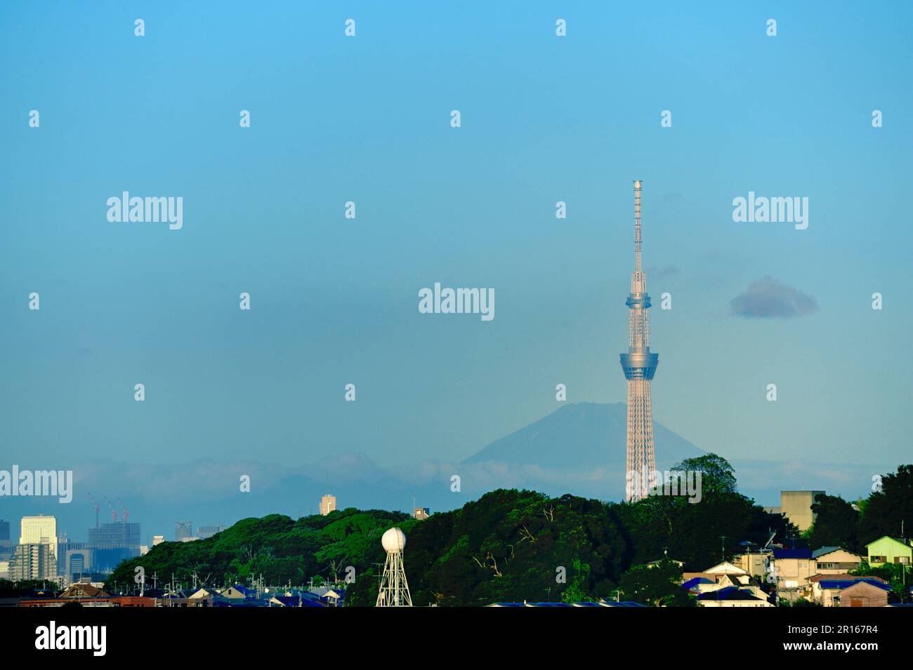 Tokyo sky tree and Mt Fuji Stock Photo - Alamy