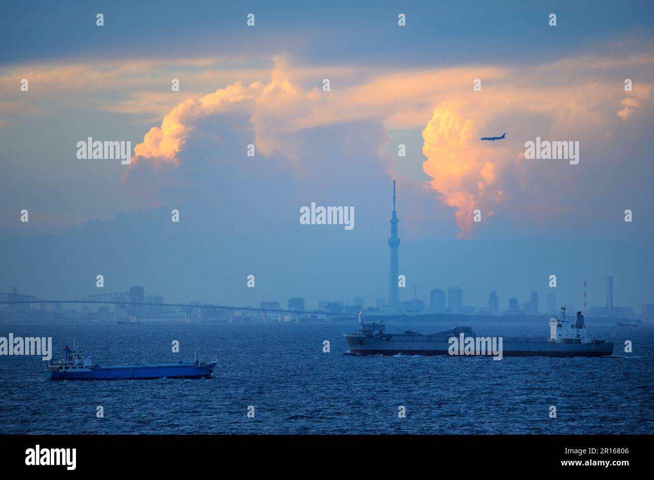 Airplane sky tree tokyo hi-res stock photography and images - Alamy