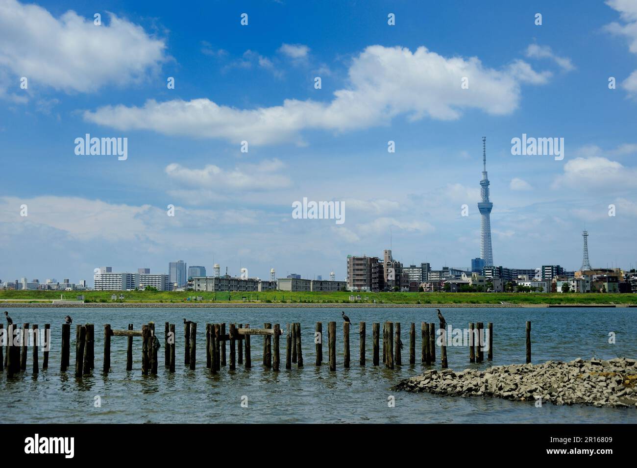 Tokyo skytree tower arakawa river hi-res stock photography and images ...