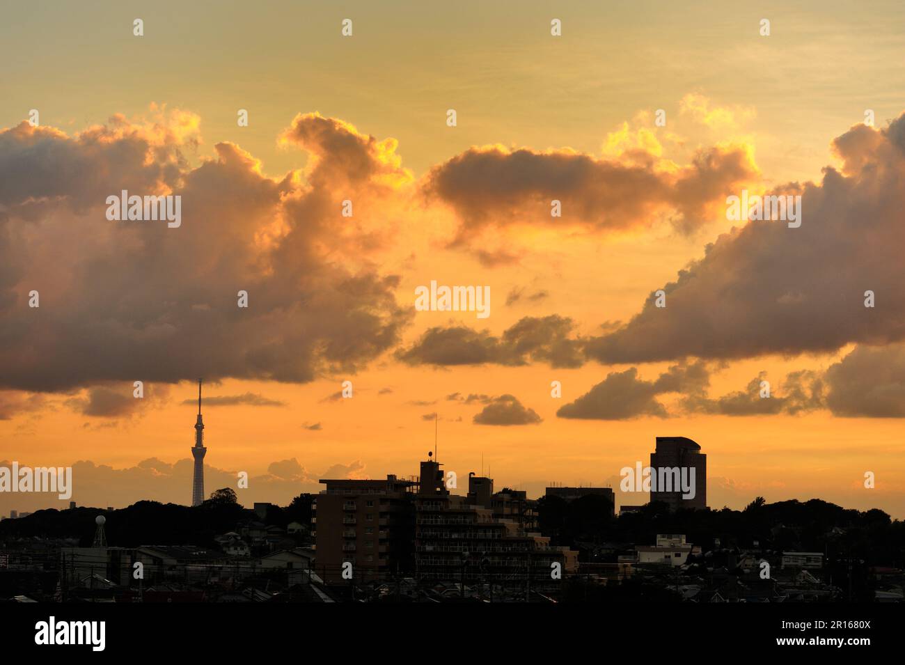 Tokyo sky tree at sunset Stock Photo - Alamy