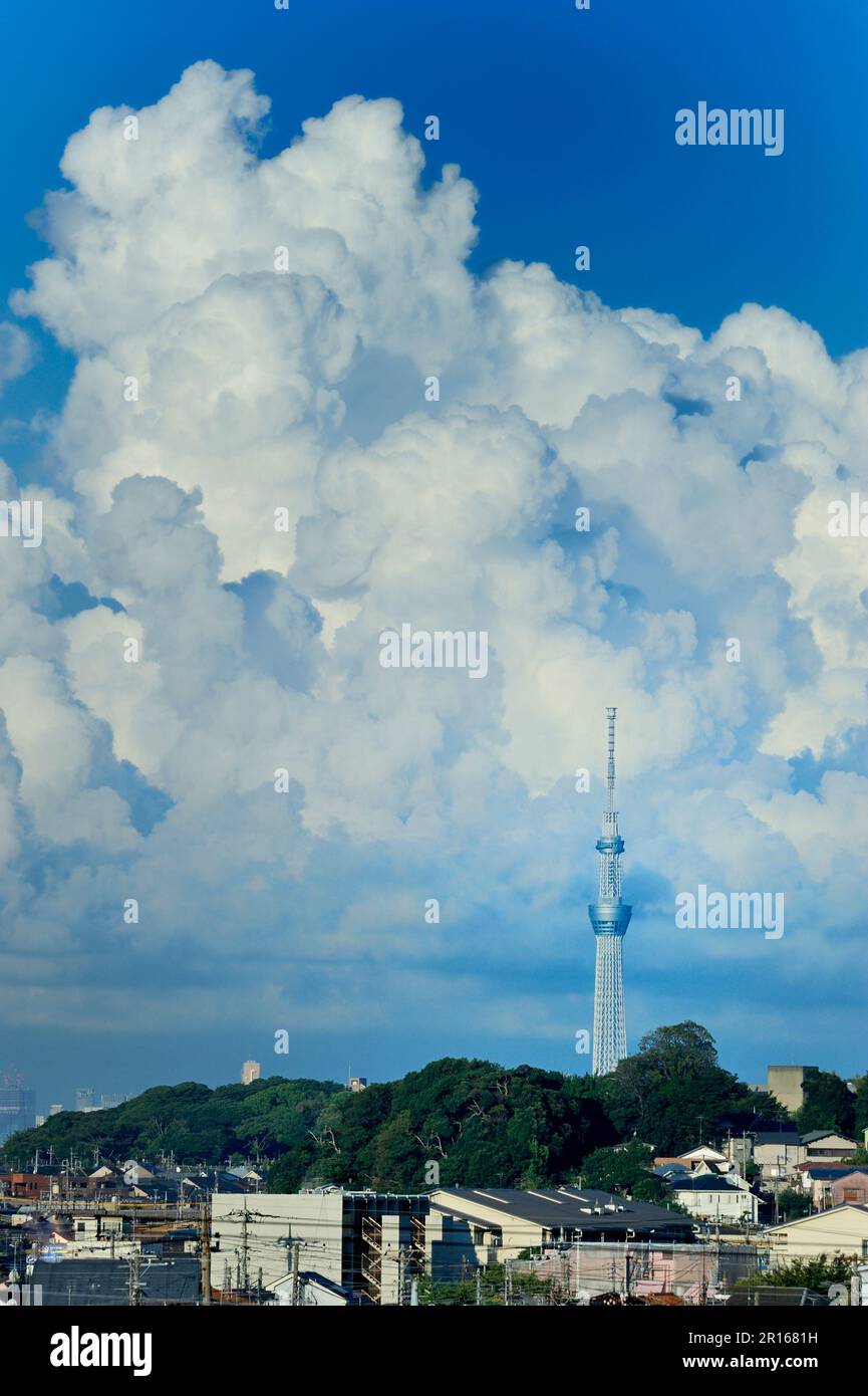 Thunderhead and Tokyo Sky Tree Stock Photo - Alamy