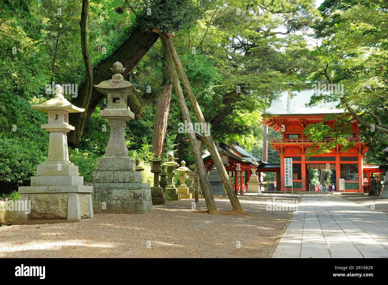Kashima Jingu Shrine Stock Photo - Alamy