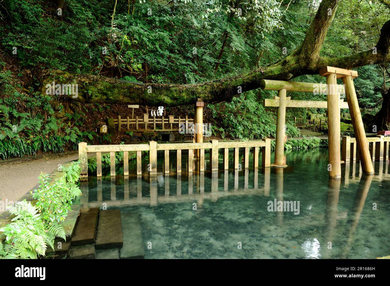 Mitaraiike Pond of Kashima Jingu Shrine Stock Photo - Alamy