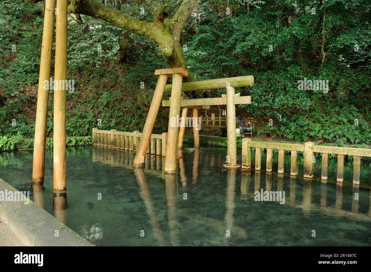 Mitaraiike Pond of Kashima Jingu Shrine Stock Photo - Alamy