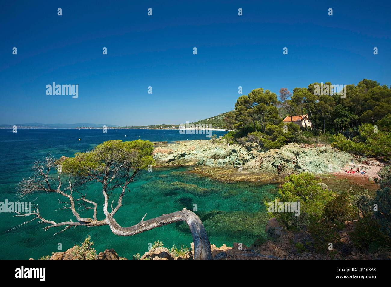 Corniche de l'Esterel, Esterel Mountains, French Riviera, Provence ...