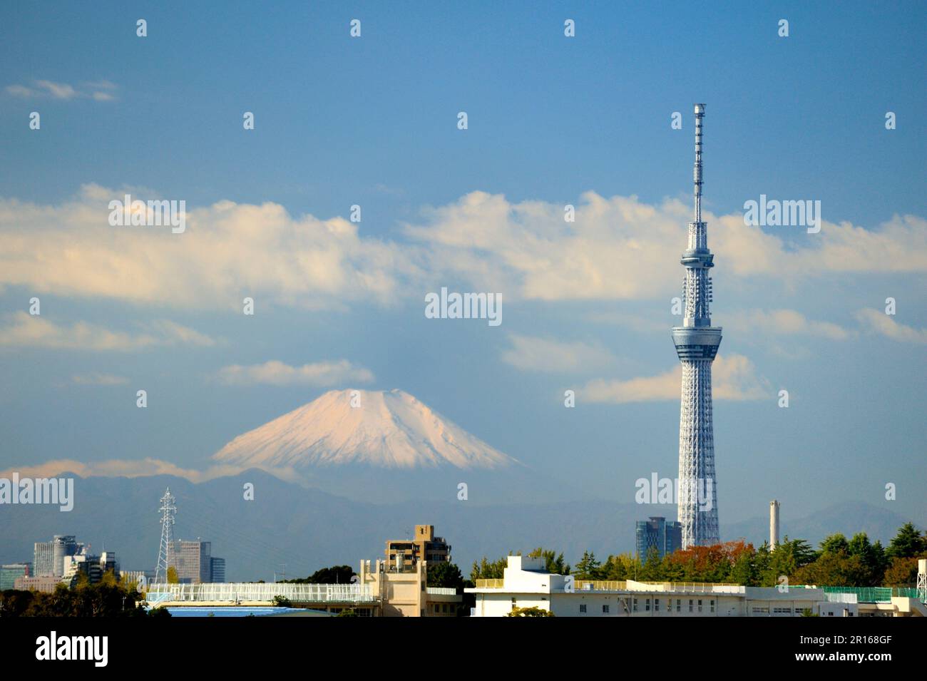 Tokyo Sky Tree and Mount Fuji Stock Photo - Alamy