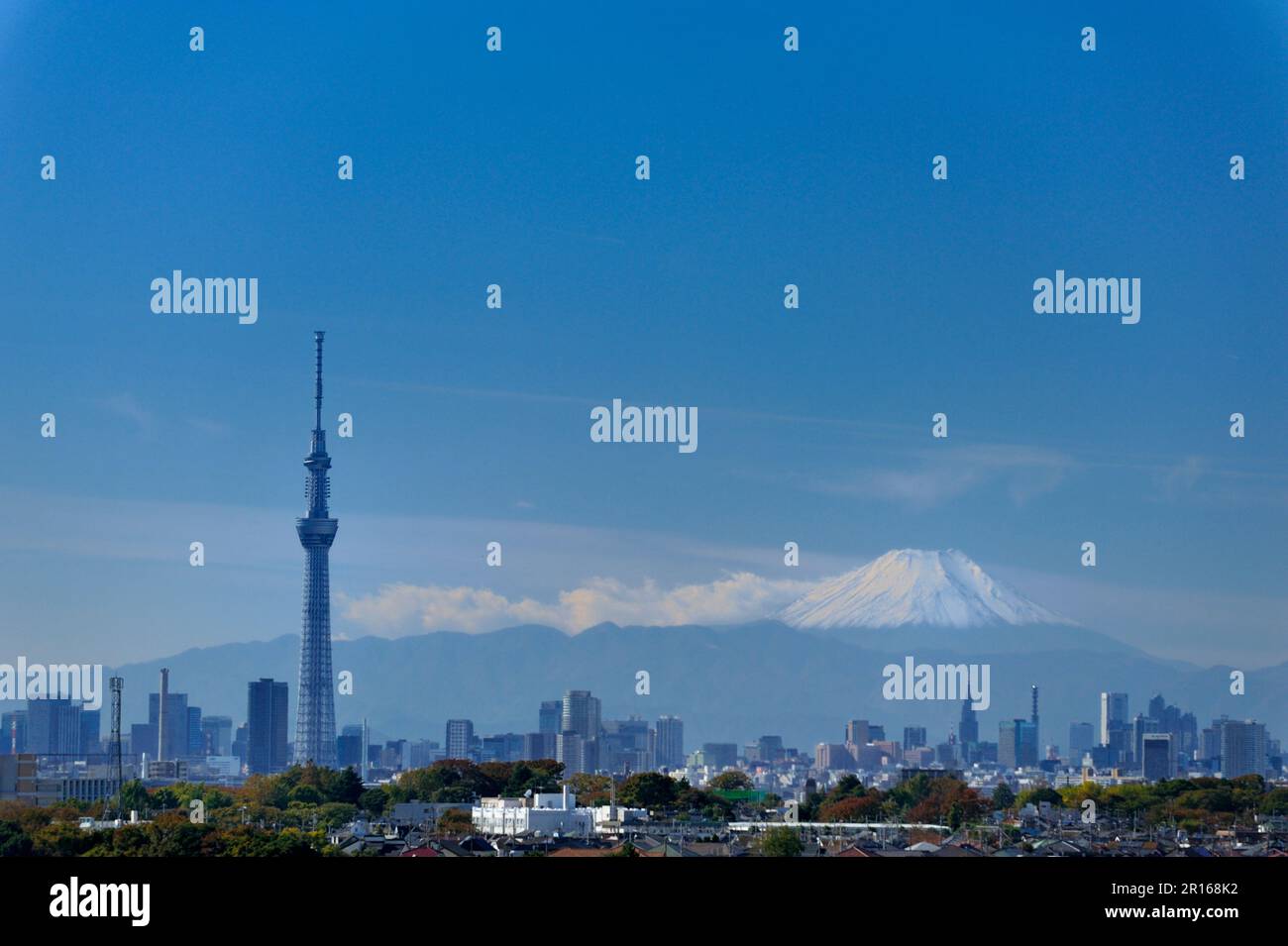 Tokyo Sky Tree and Mount Fuji Stock Photo - Alamy