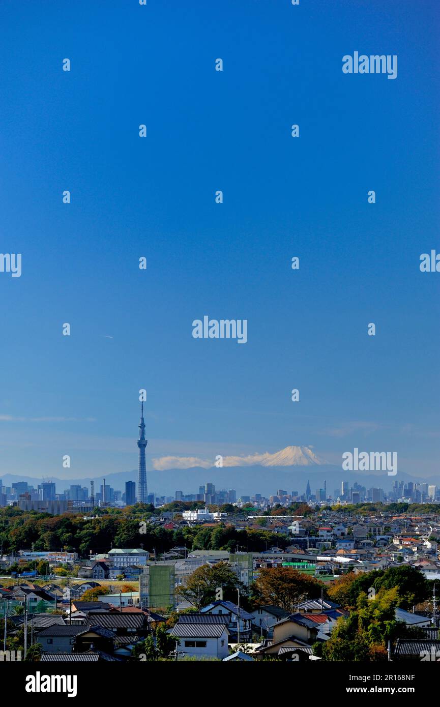 Tokyo Sky Tree and Mount Fuji Stock Photo - Alamy