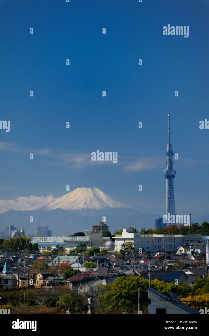 Tokyo Sky Tree and Mount Fuji Stock Photo - Alamy