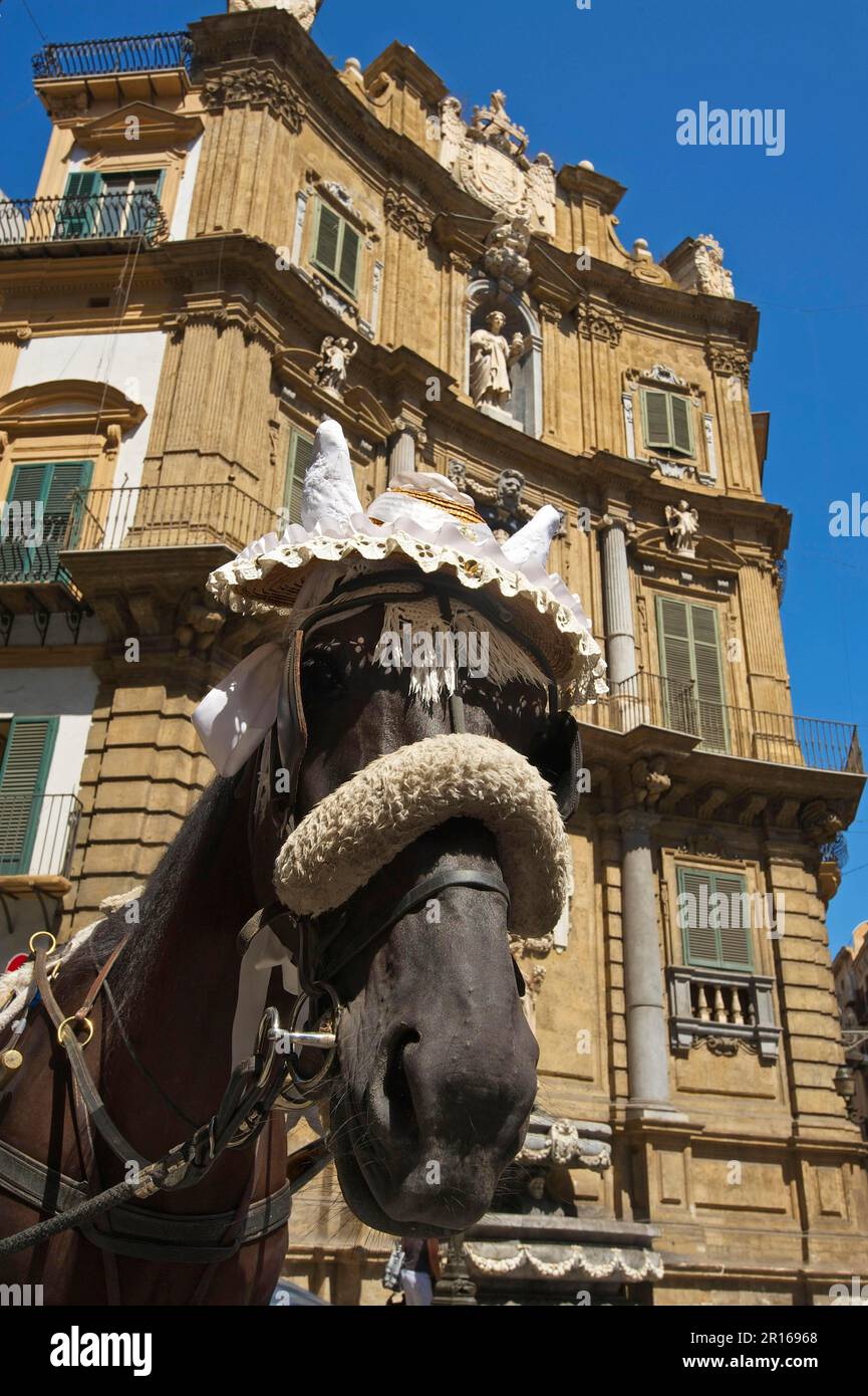 Horse-drawn carriage in Palermo, Sicily, Italy Stock Photo - Alamy
