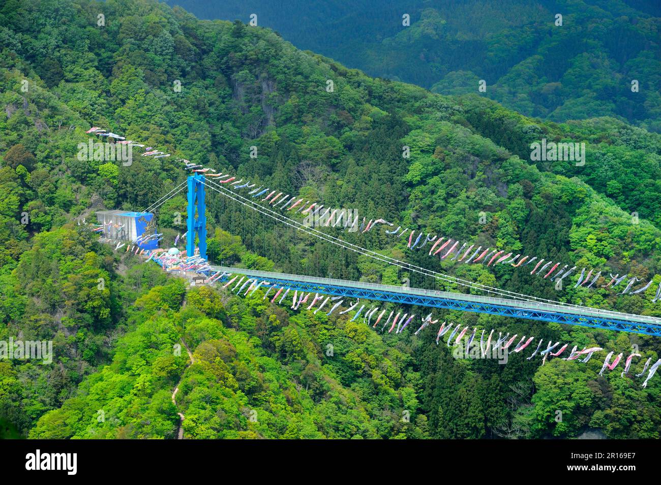 Ryujin Big Suspension Bridge and carp streamer Stock Photo - Alamy