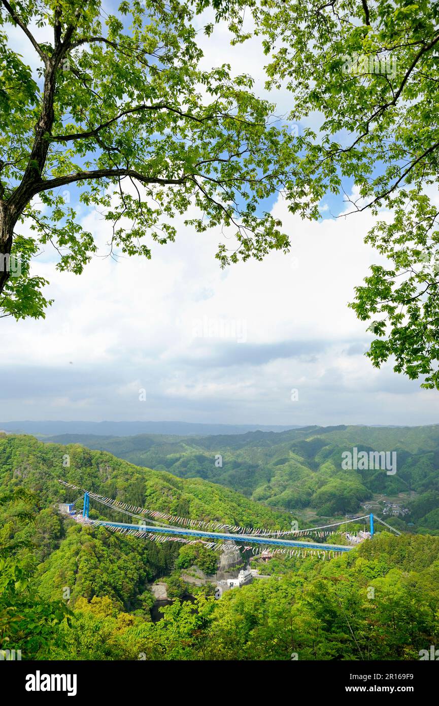 Ryujin Big Suspension Bridge and carp streamer Stock Photo - Alamy