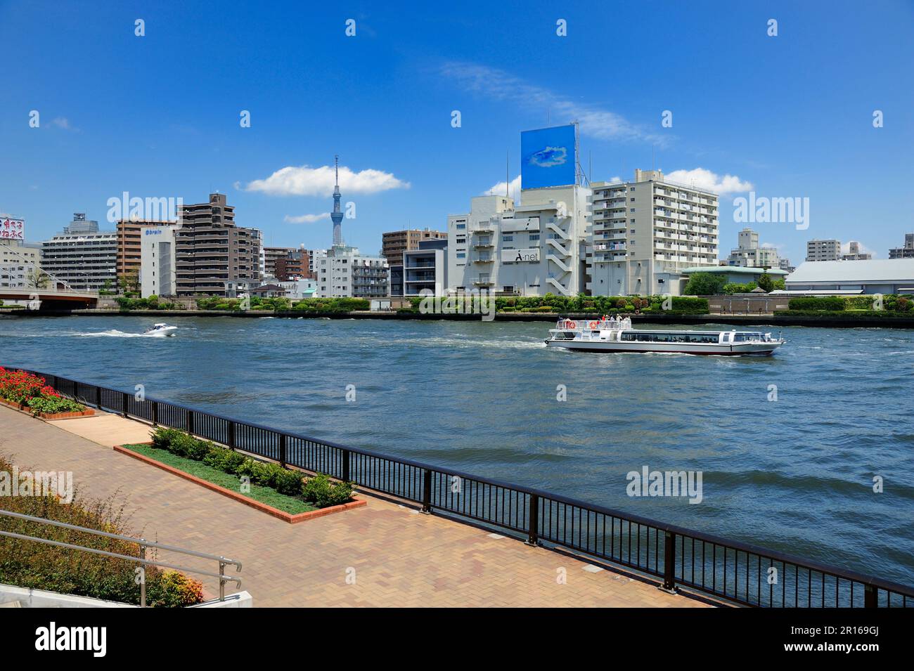 Sky Tree and Sumida River Stock Photo - Alamy