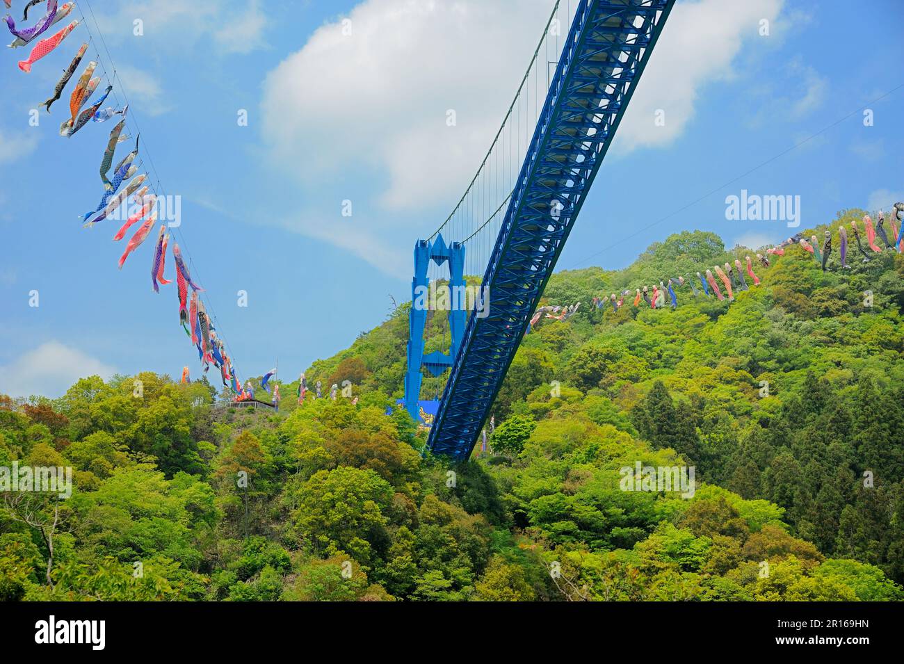 Ryujin Big Suspension Bridge and carp streamer Stock Photo - Alamy