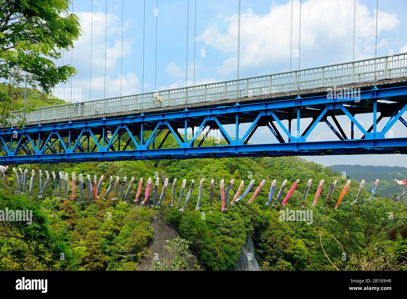Ryujin Big Suspension Bridge and carp streamer Stock Photo - Alamy