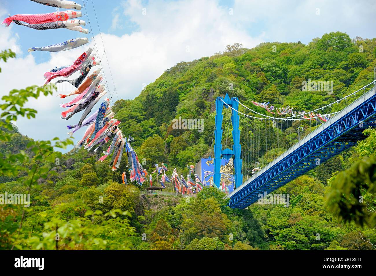 Ryujin Big Suspension Bridge and carp streamer Stock Photo - Alamy
