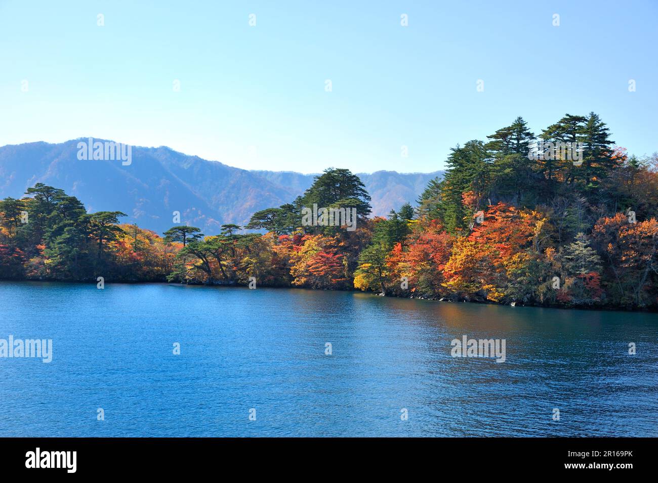 In Lake Towada, Nakayama Peninsula surrounded by autumn trees Stock ...