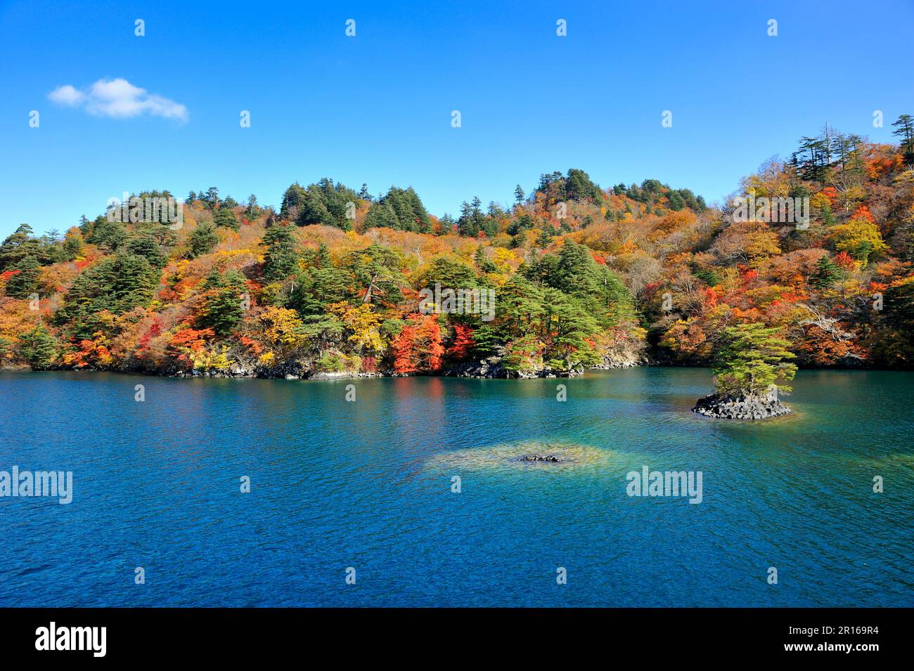 In Lake Towada, Nakayama Peninsula surrounded by autumn trees Stock ...