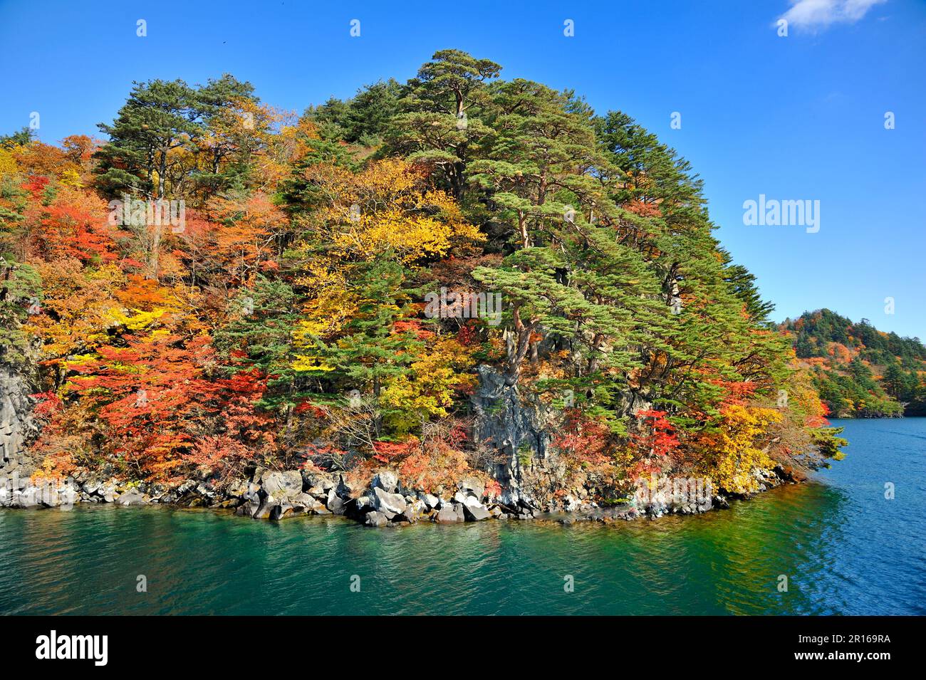 In Lake Towada, Nakayama Peninsula surrounded by autumn trees Stock ...