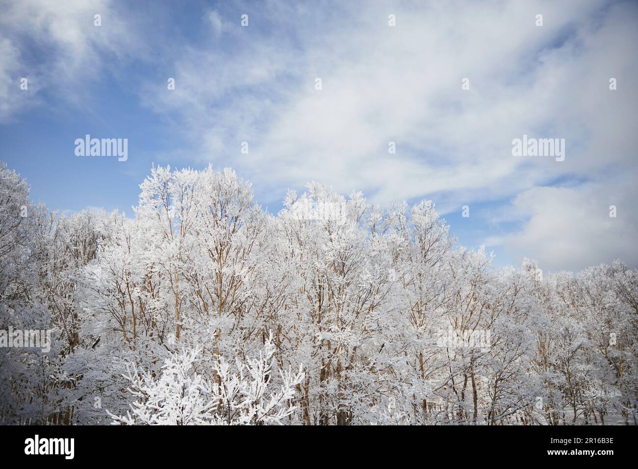 Silver snowy mountain landscape Stock Photo - Alamy