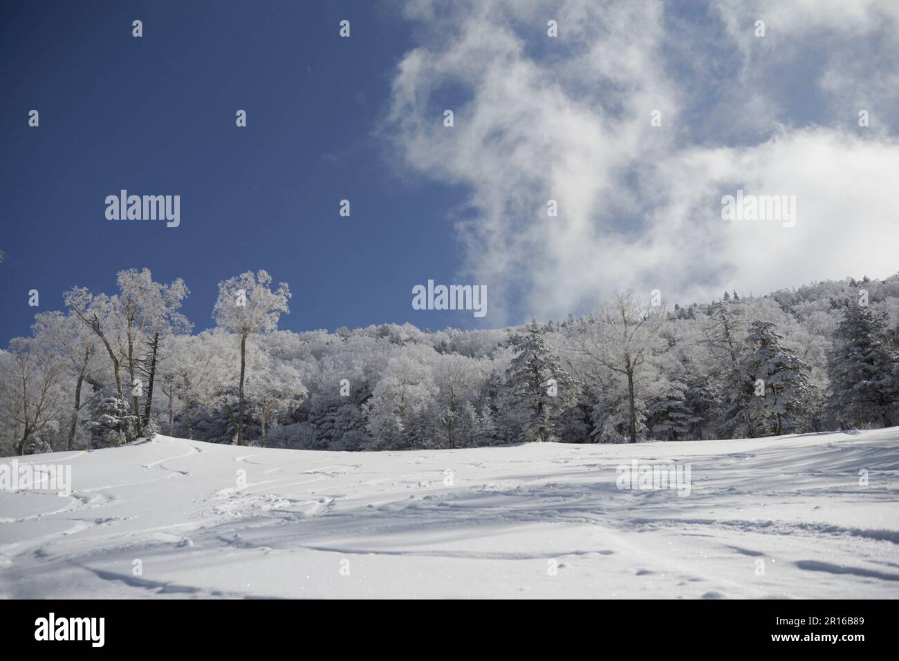 Silver snowy mountain landscape hi-res stock photography and images - Alamy