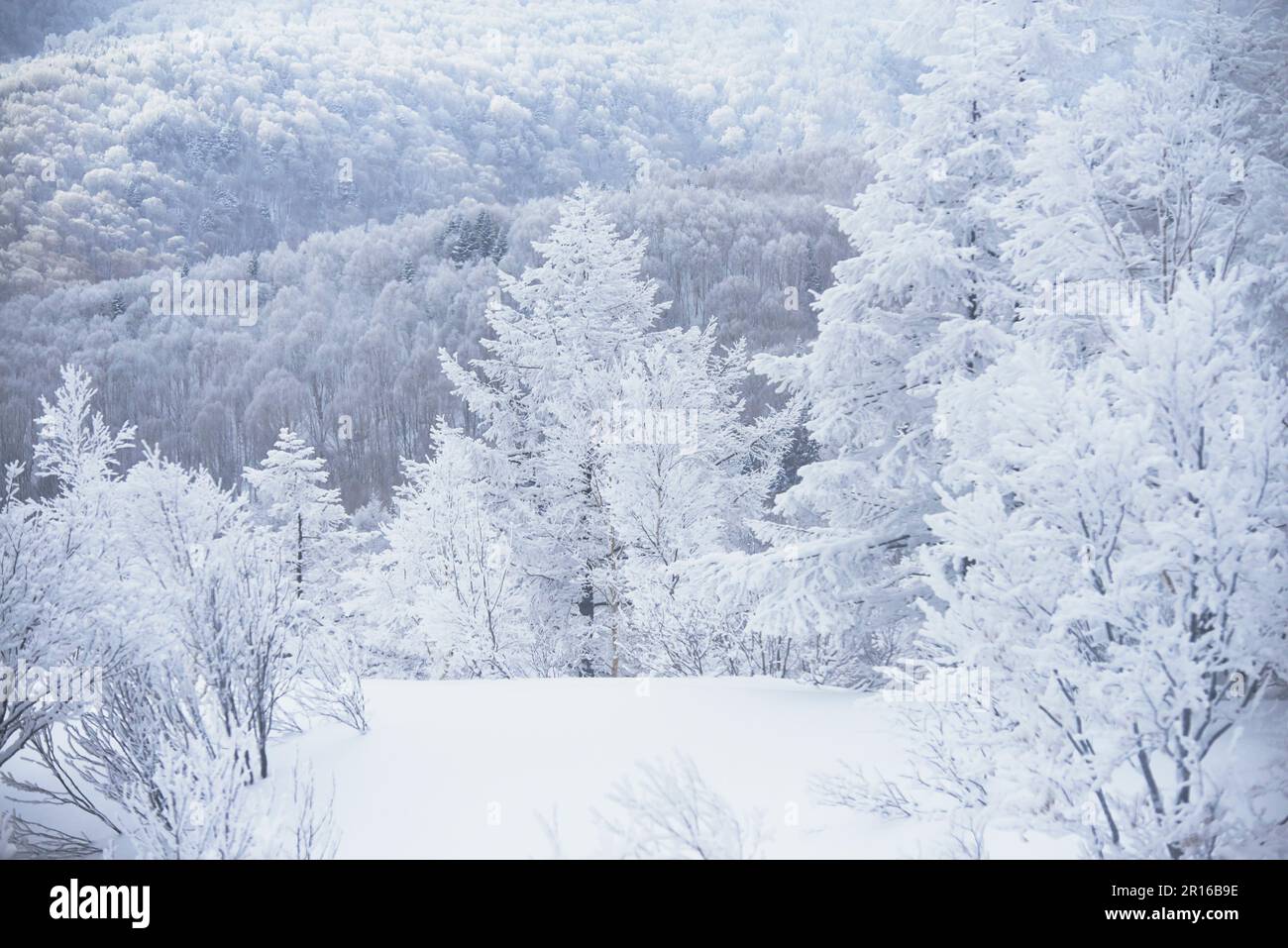 Silver snowy mountain landscape Stock Photo - Alamy
