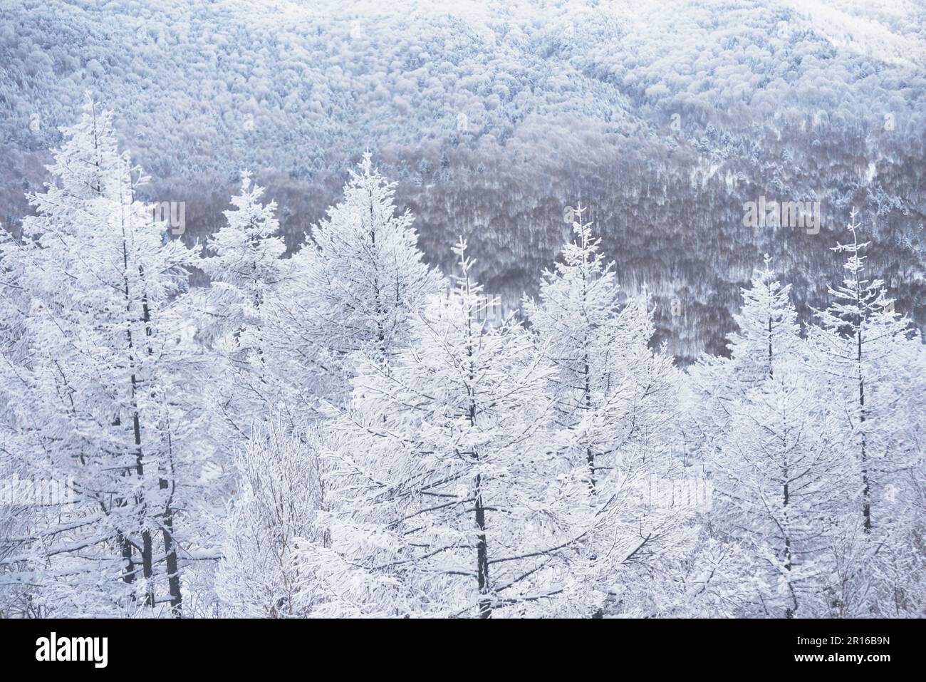 Silver snowy mountain landscape hi-res stock photography and images - Alamy