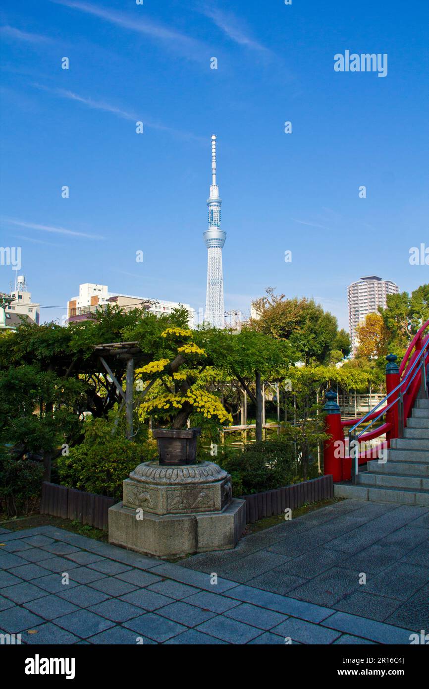 The Kameido Tenjin shrine and the sky tree tower Stock Photo - Alamy