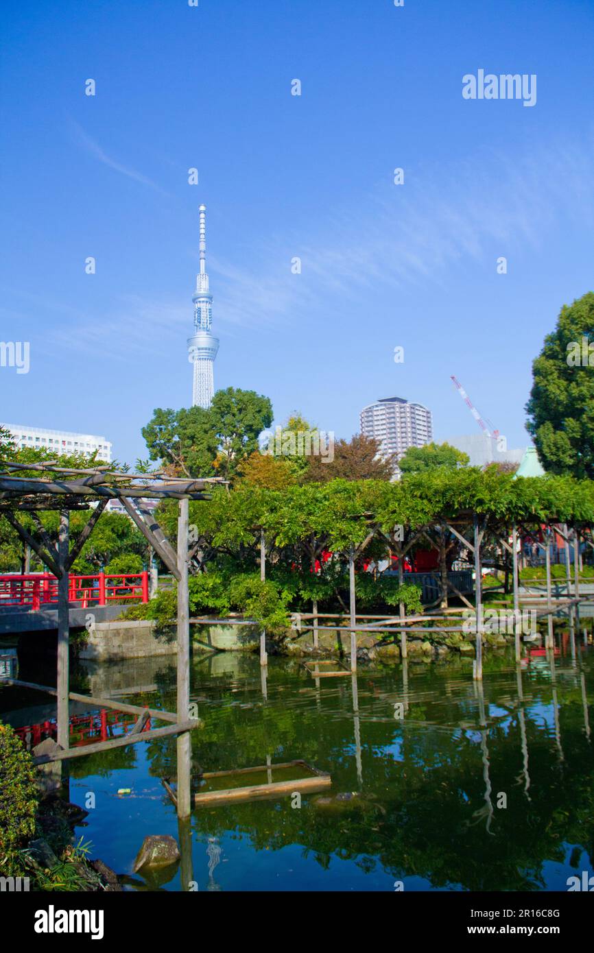 The Kameido Tenjin shrine and the sky tree tower Stock Photo - Alamy