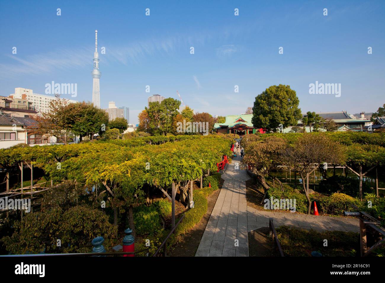 The Kameido Tenjin shrine and the sky tree tower Stock Photo - Alamy