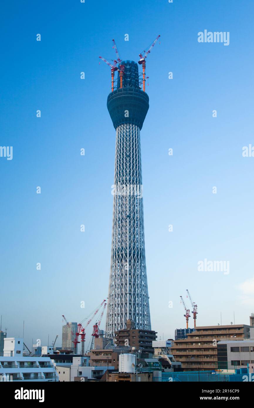 Tree construction hi-res stock photography and images - Alamy
