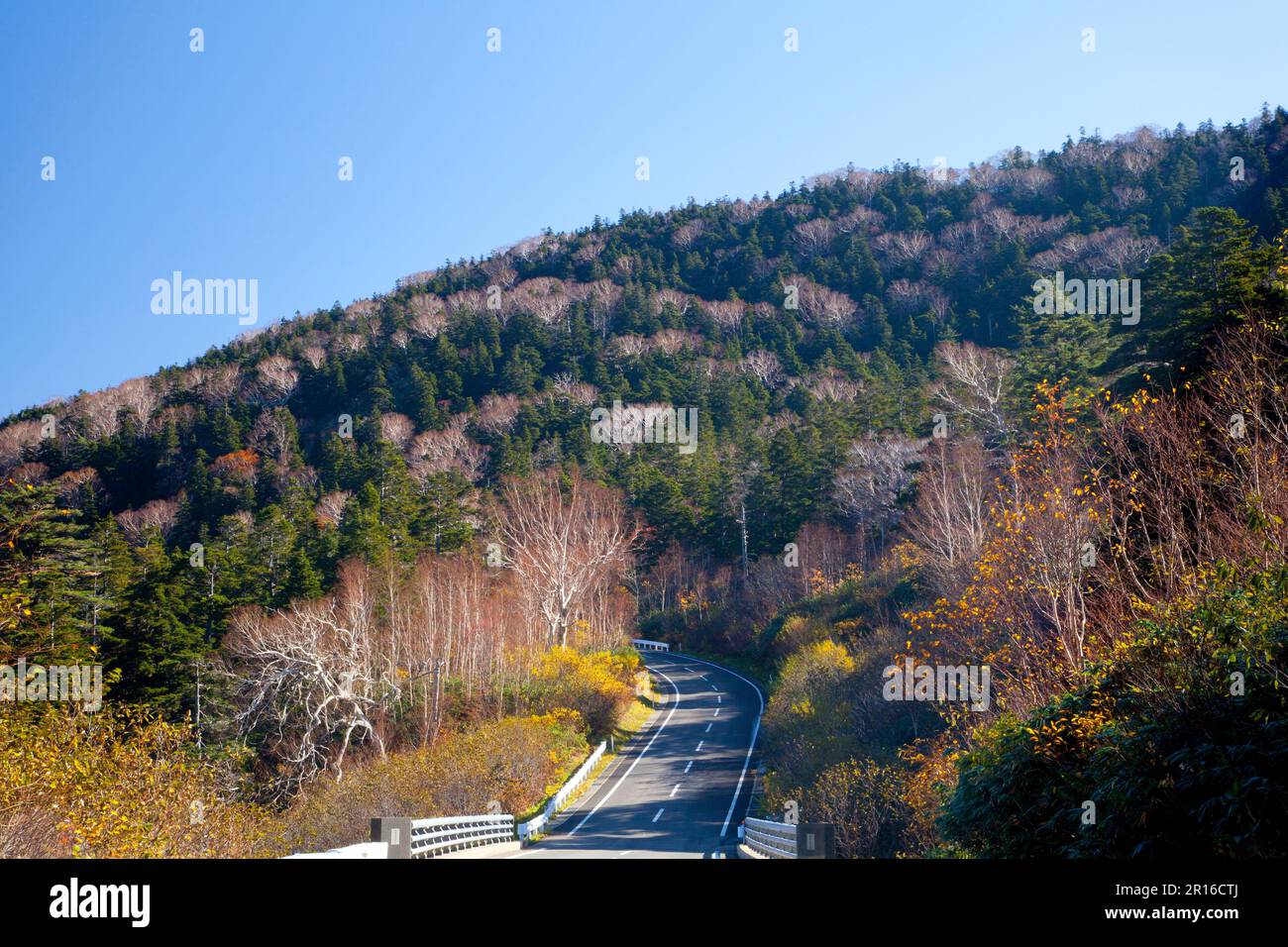 Hachimantai Jukai Line Stock Photo - Alamy