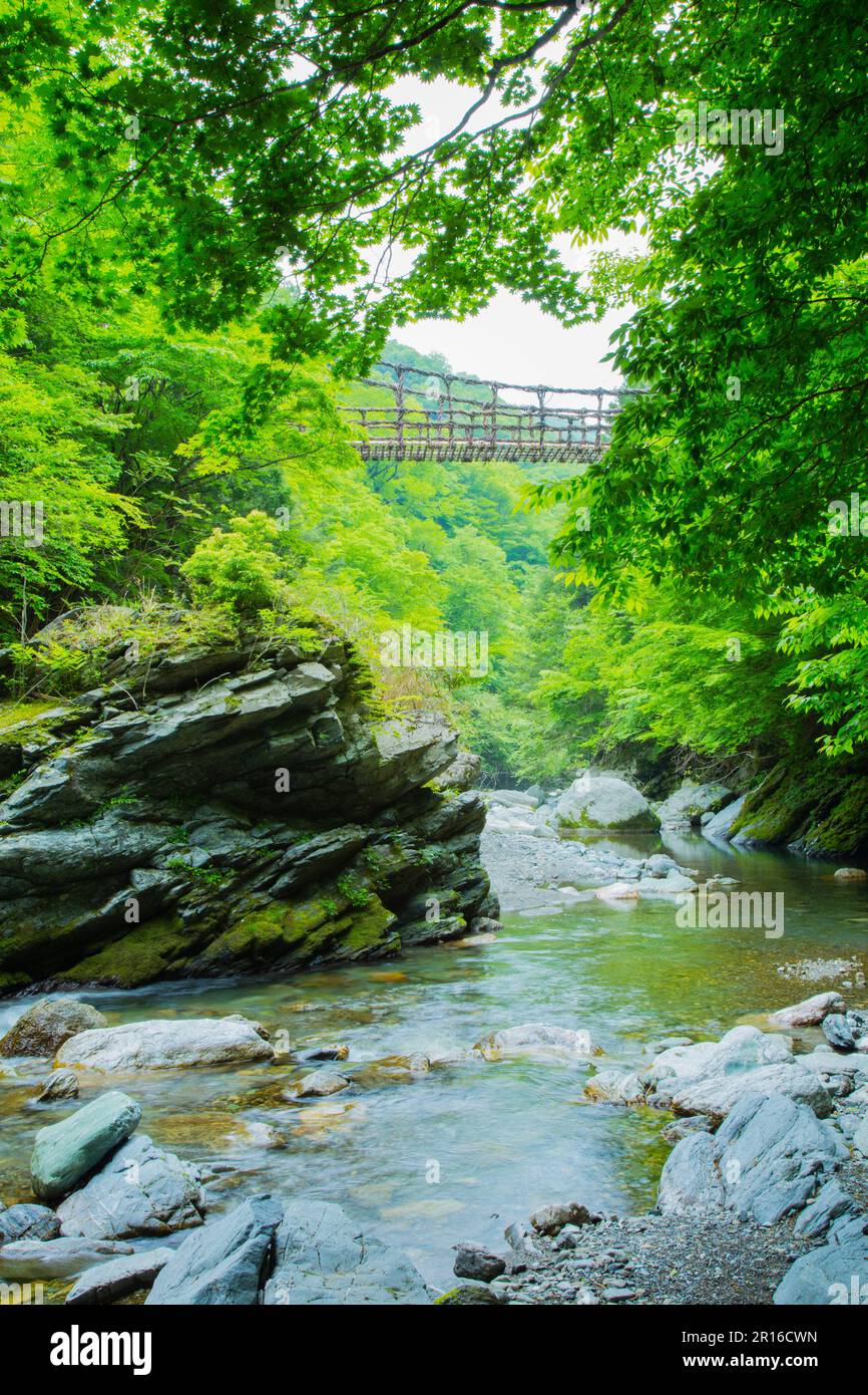 Iya kazurabashi bridge – japan hi-res stock photography and images - Alamy
