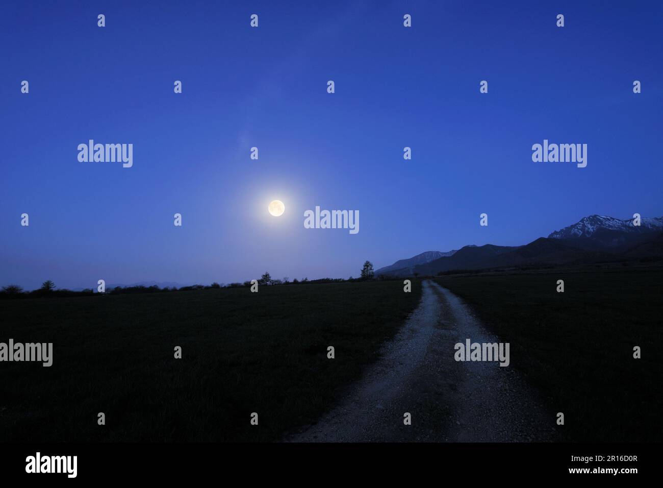 Full moon path field hi-res stock photography and images - Alamy