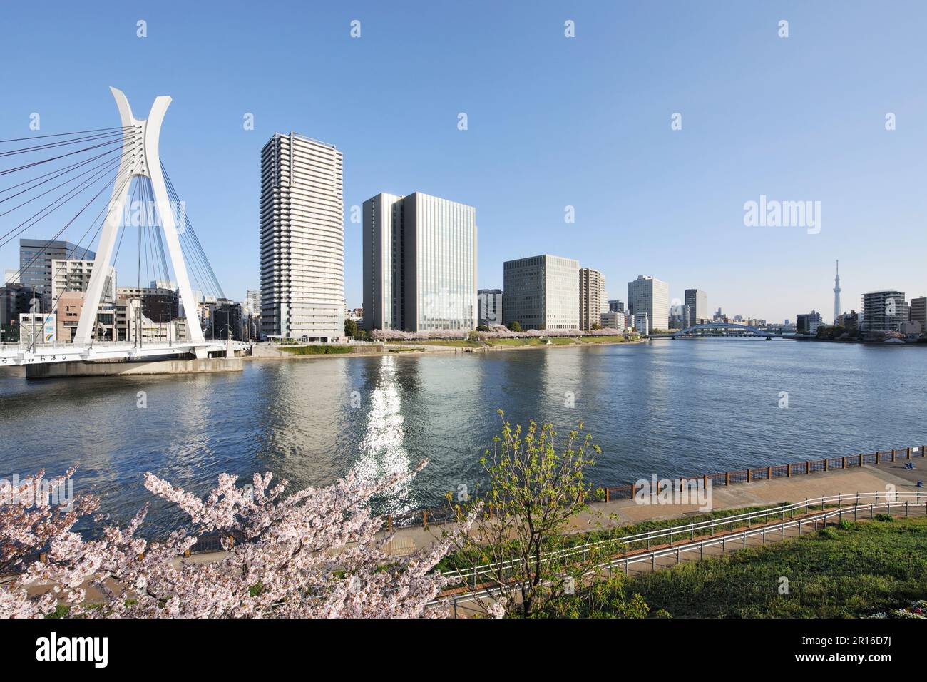 Sumitomo building tokyo hi-res stock photography and images - Alamy