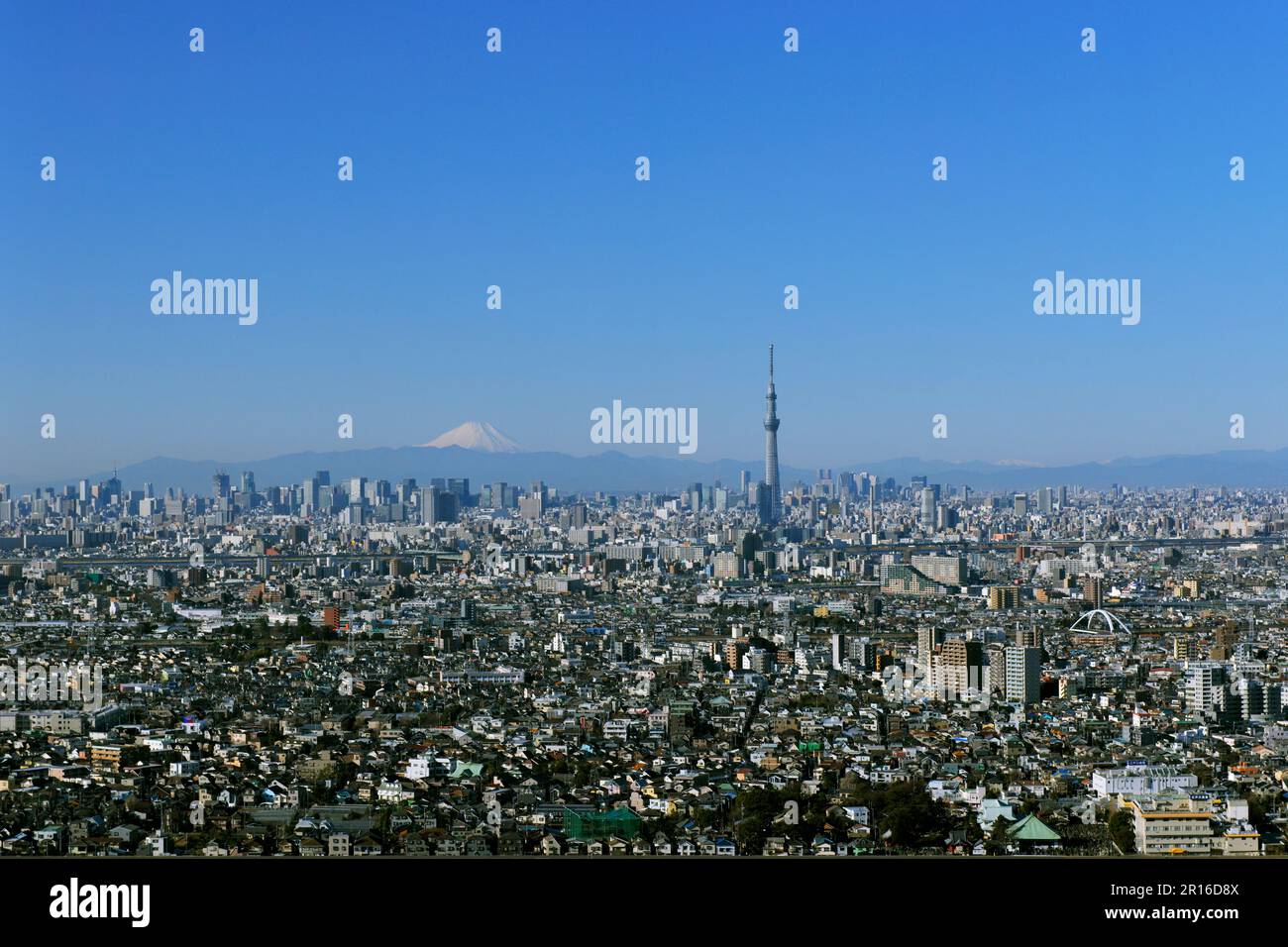 Tokyo Sky Tree and Mount Fuji Stock Photo - Alamy