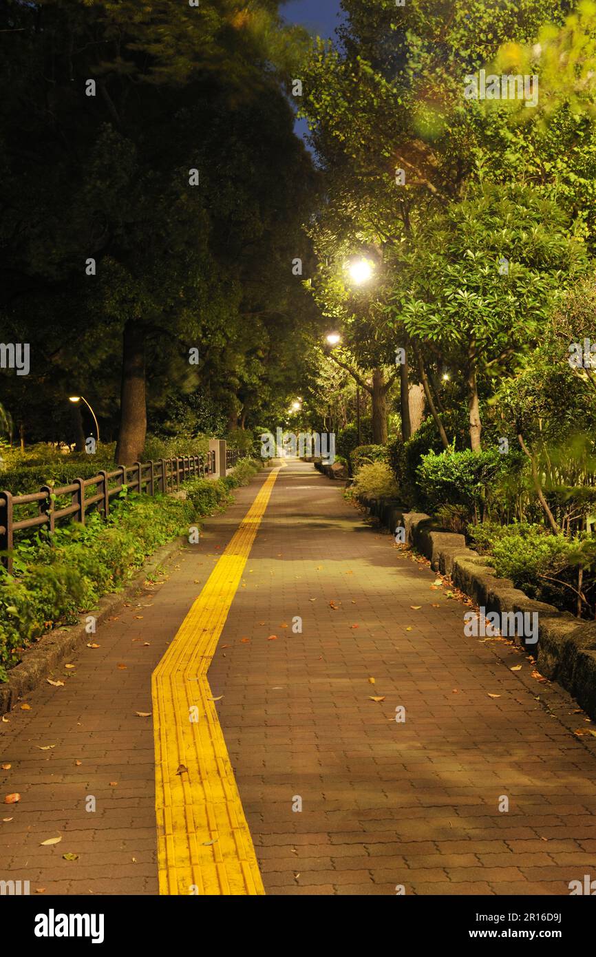 Hibiya park night hi-res stock photography and images - Alamy