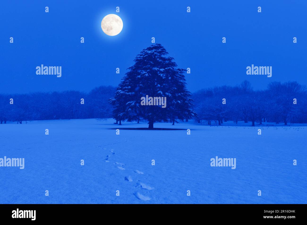 Footprints on top of snow and a full moon night Stock Photo - Alamy
