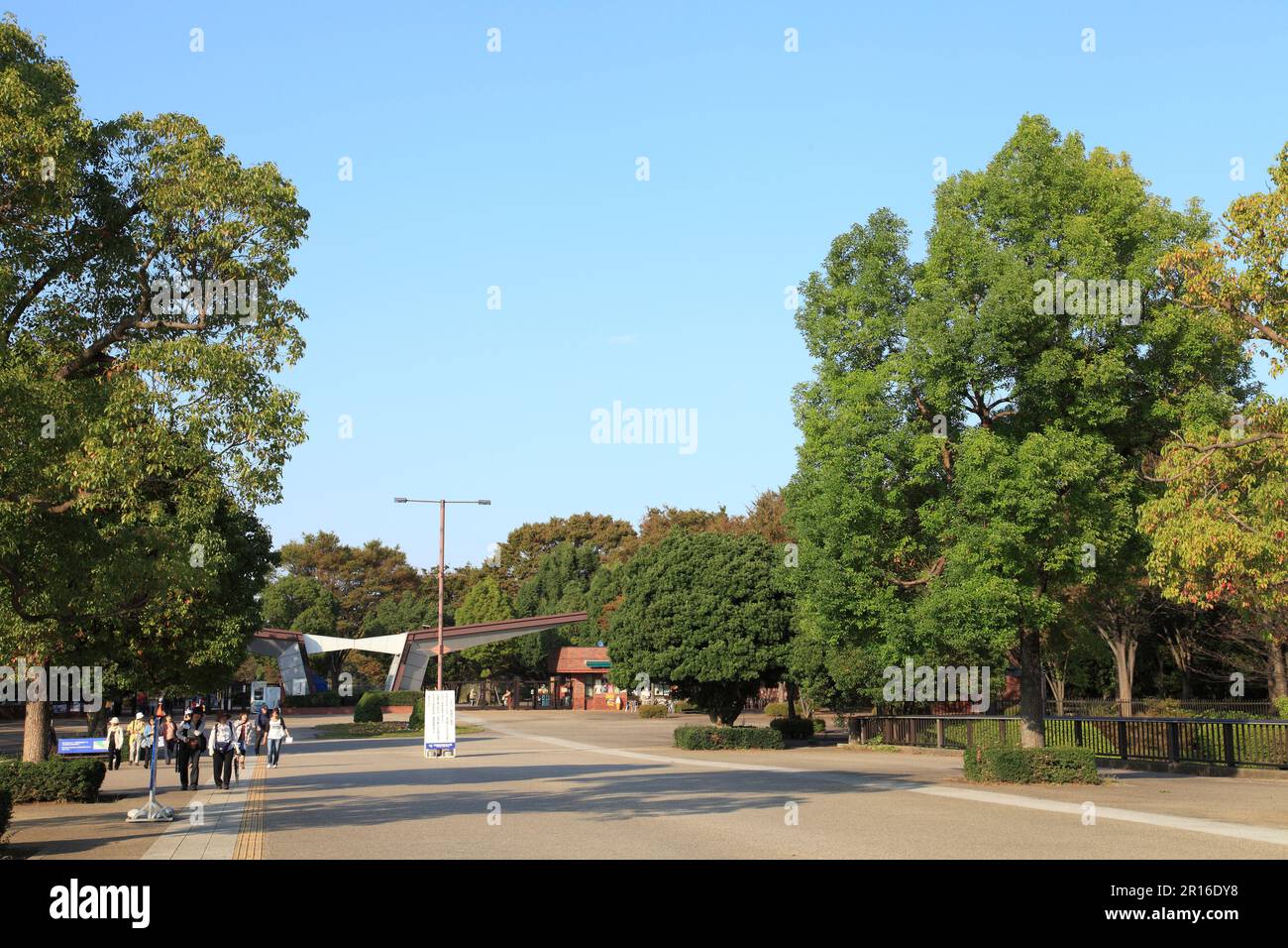 the sidewalk to the Showa Memorial Park from the station Stock Photo ...