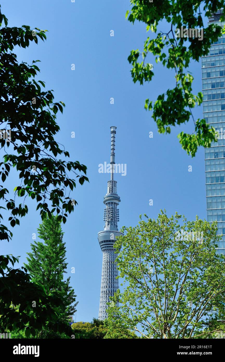 Tokyo Sky Tree Stock Photo - Alamy