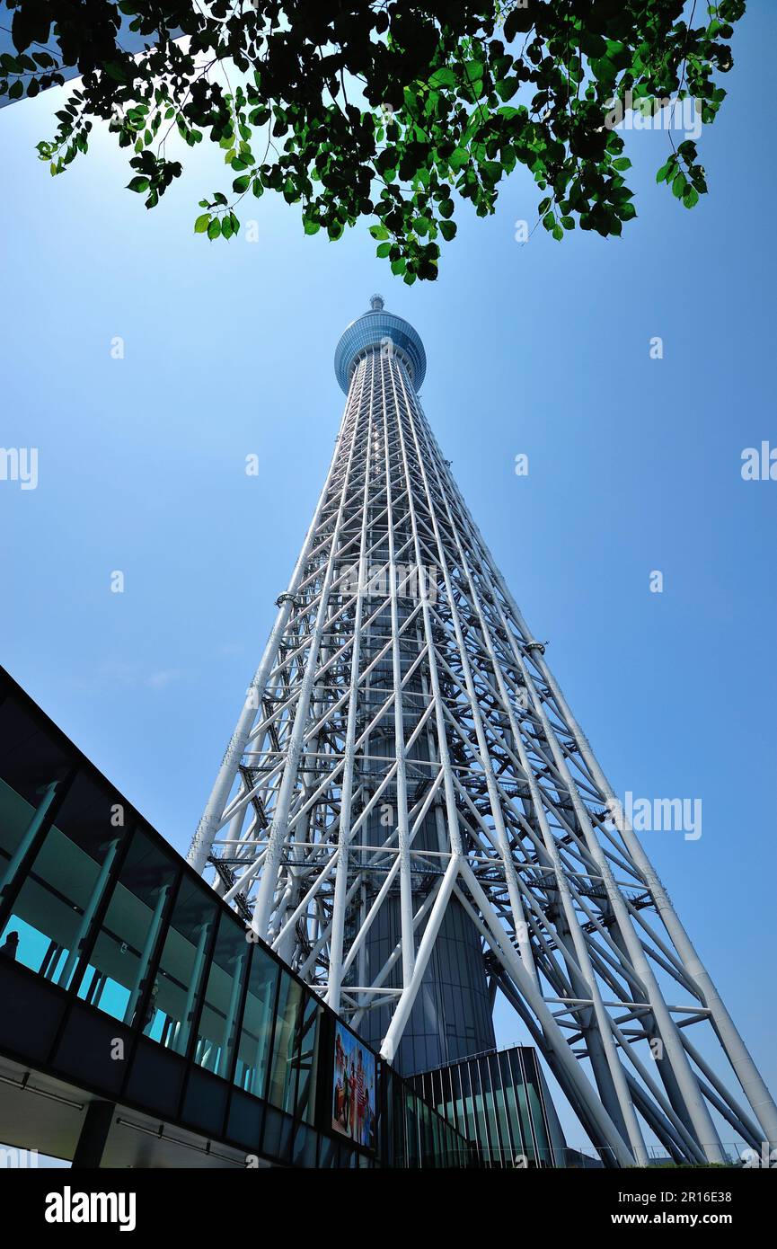 Tokyo Sky Tree Stock Photo - Alamy