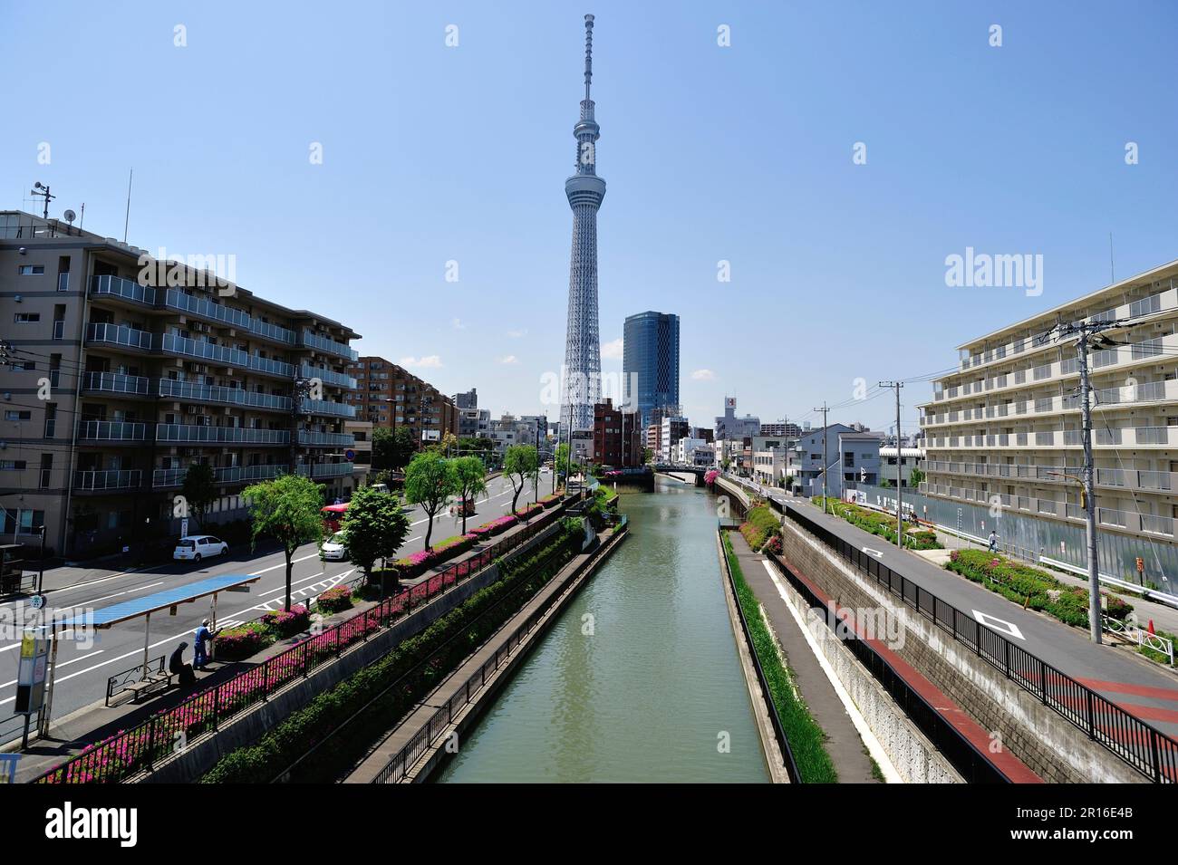 Tokyo Sky Tree viewed from the north river Jitsuken Stock Photo - Alamy