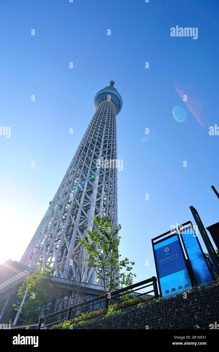 Tokyo Sky Tree Stock Photo - Alamy