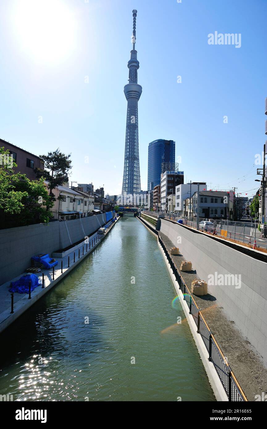Tokyo Sky Tree viewed from the north river Jitsuken Stock Photo - Alamy