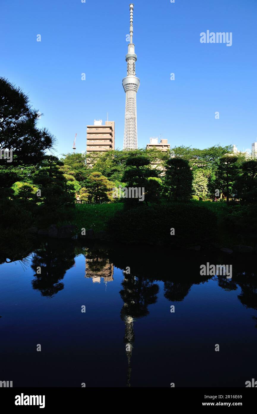 Tokyo Sky Tree viewed from Sumida Park Stock Photo - Alamy