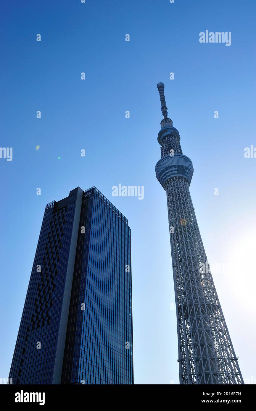 Tokyo Sky Tree under the sun Stock Photo - Alamy
