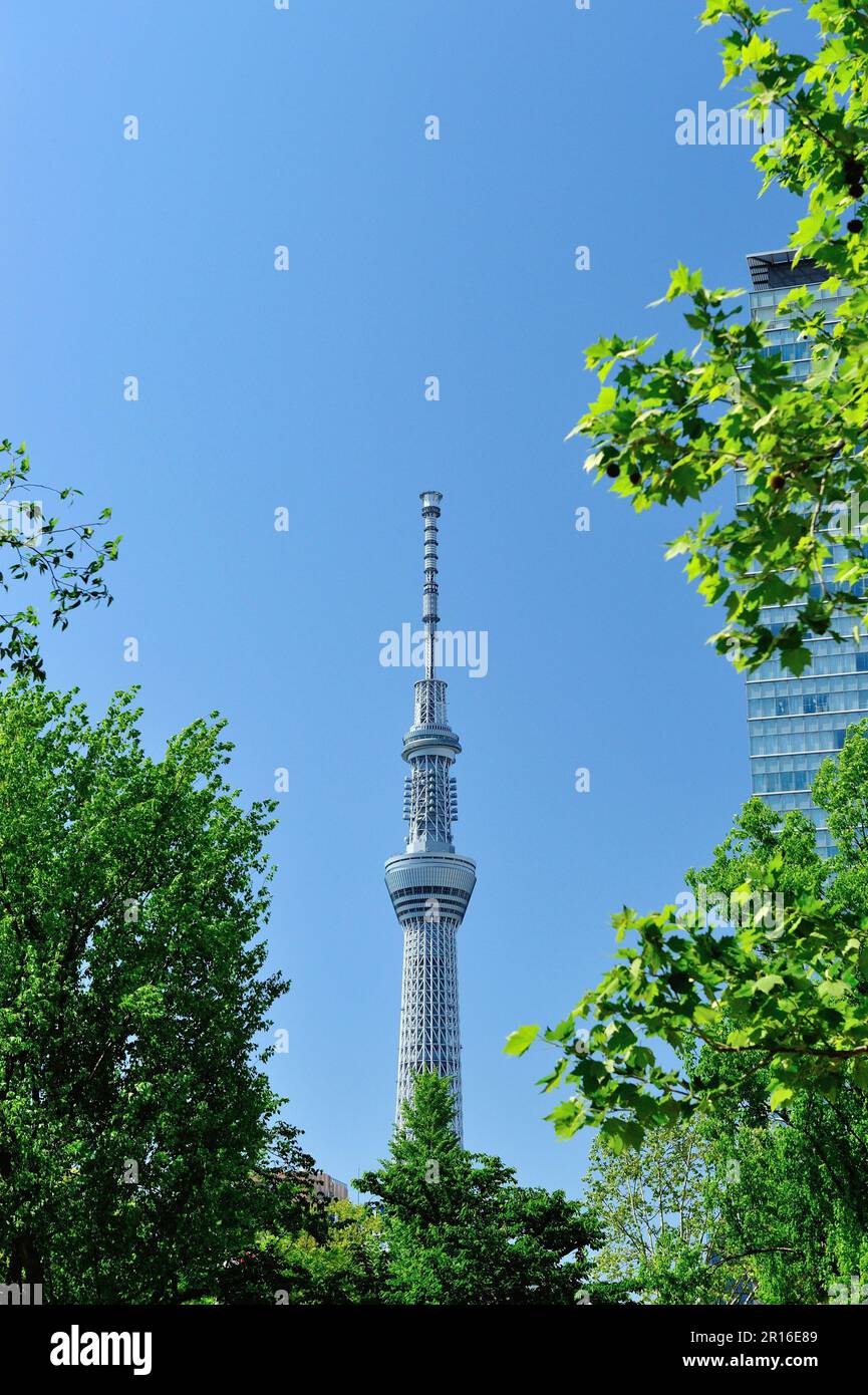 Tokyo Sky Tree Stock Photo - Alamy